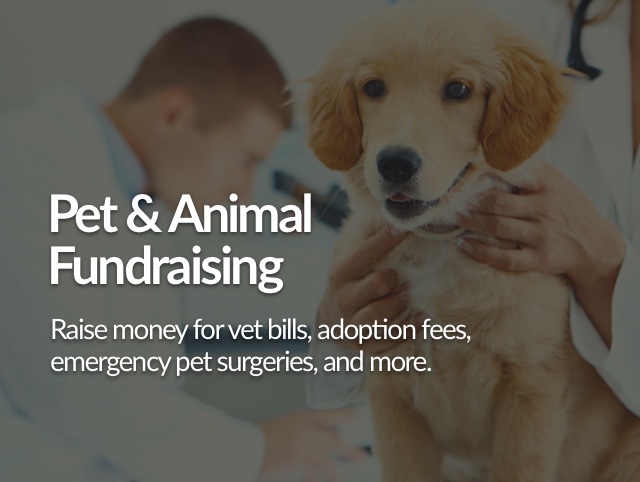 Animal & Pet Fundraisers - Raise Money For Vet Bills And More - GoFundMe